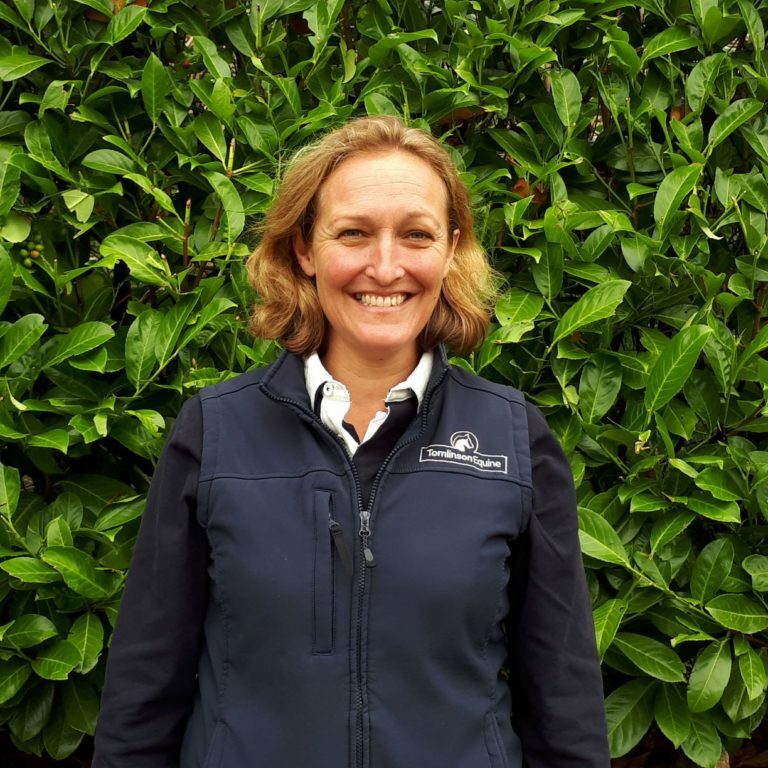 Home - wobblyhorse.com